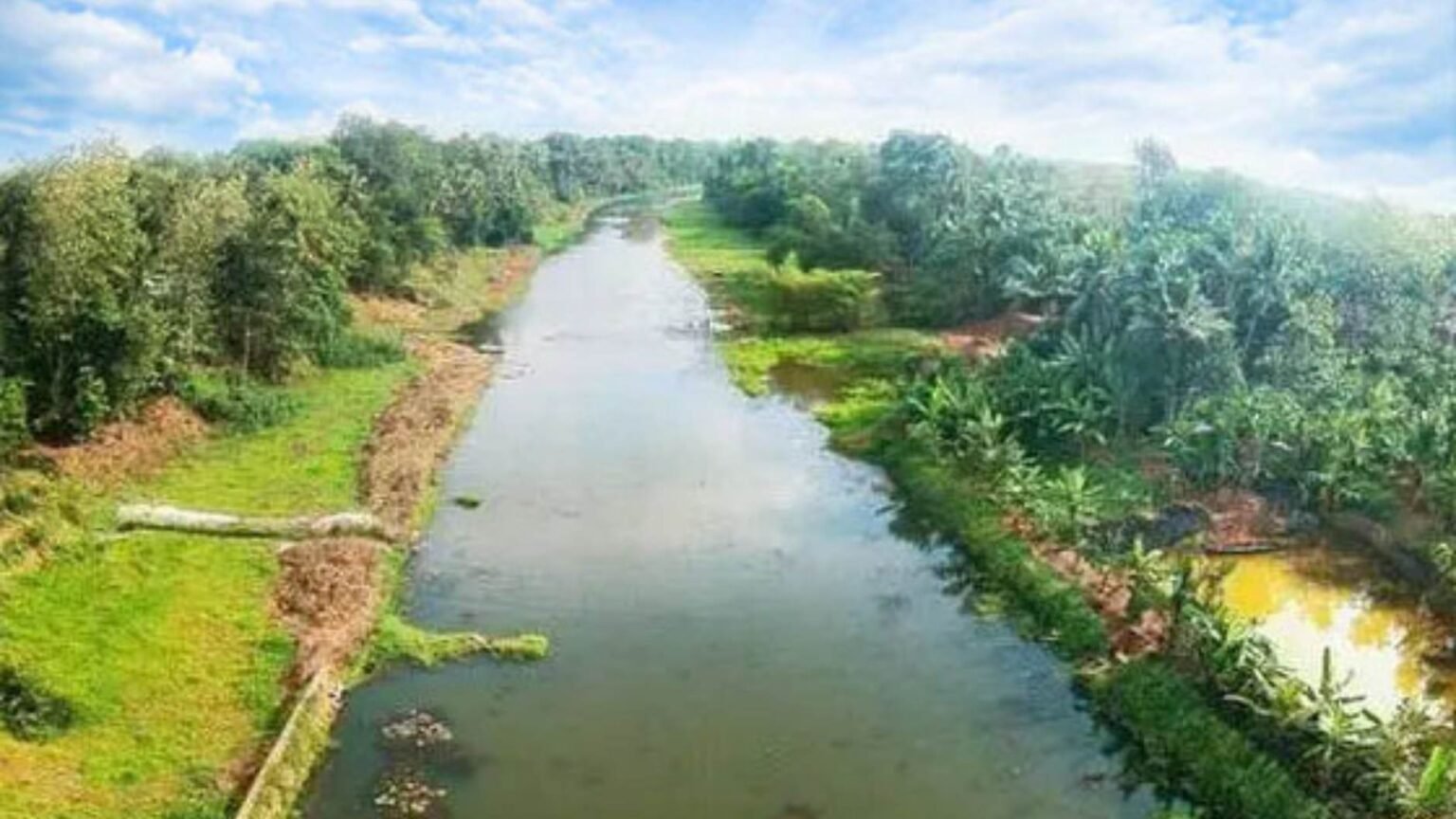 A river in Kerala gets its life back after people join hands to revive it